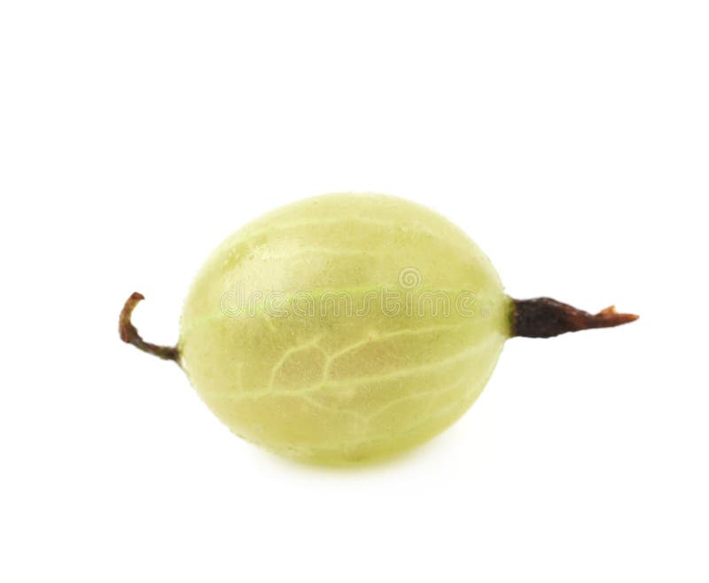 Single gooseberry isolated stock photo. Image of ingredient - 107618366