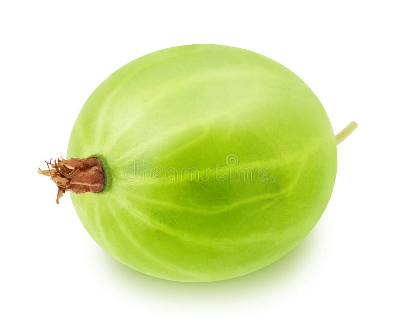 Single Gooseberry Isolated on a White Background. Stock Photo - Image ...