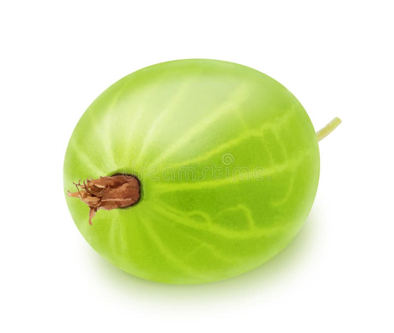 Single Gooseberry Isolated on a White Background. Stock Photo - Image ...