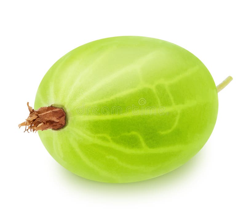 Single Gooseberry Isolated on a White Background. Stock Photo - Image ...