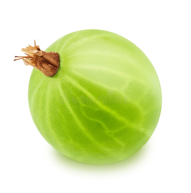 Single Gooseberry Isolated on a White Background. Stock Photo - Image ...