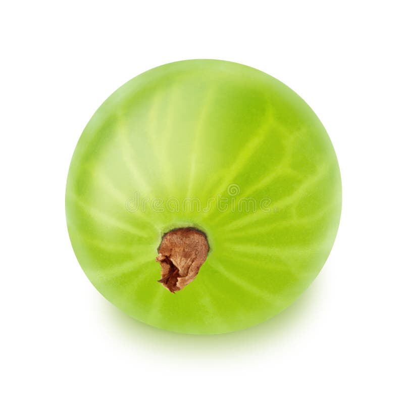 Single Gooseberry Isolated on a White Background. Stock Image - Image ...