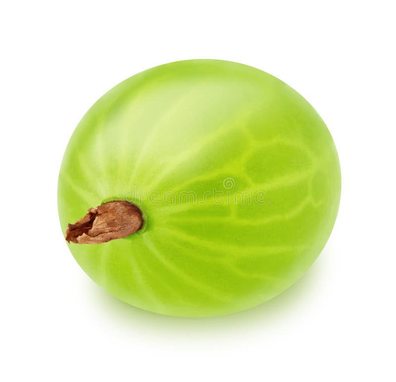 Single Gooseberry Isolated on a White Background. Stock Photo - Image ...