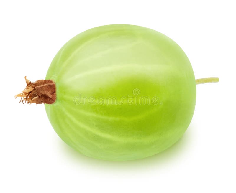 Single Gooseberry Isolated on a White Background. Stock Image - Image ...