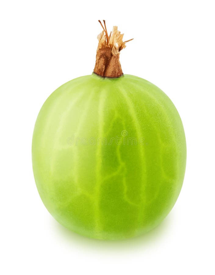 One Gooseberry Fruits Isolated Stock Photo - Image of dayberry, single ...