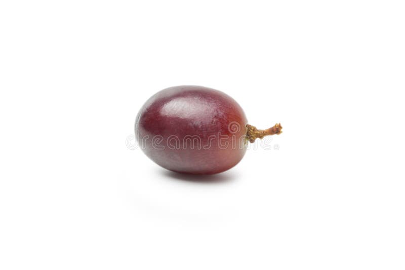 Single Grape Stock Images - Download 7,757 Royalty Free Photos
