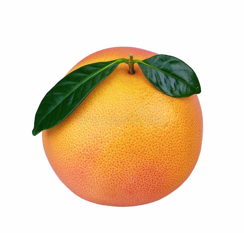 Single Grapefruit Isolated on a White Background .Top View Stock Image ...