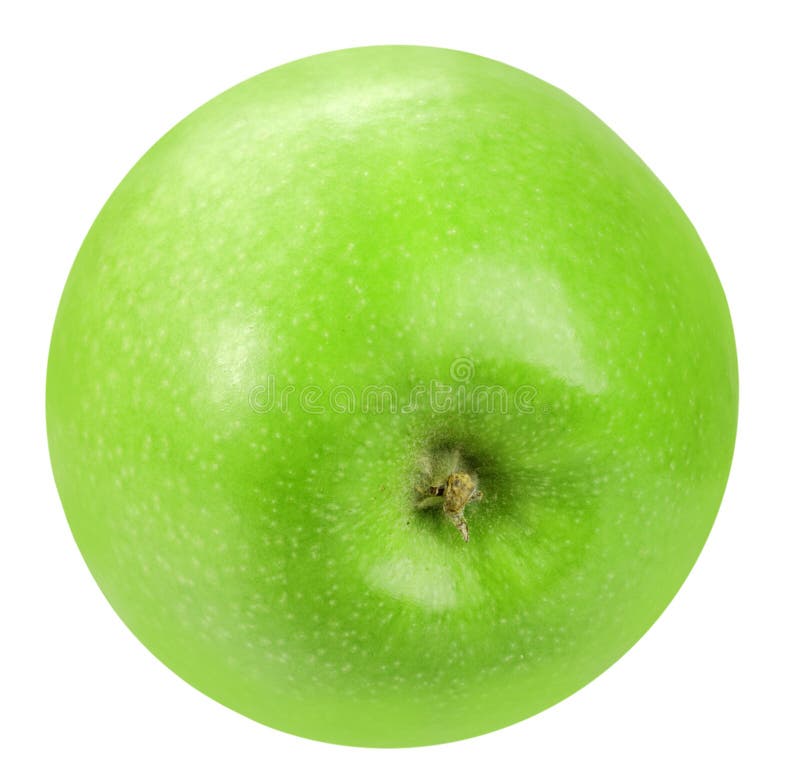 Single a green apple stock photo. Image of season, healthy - 15831900