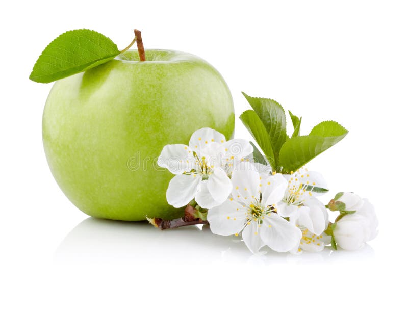 Single Green Apple with Leaf Isolated on White Background Stock Image ...