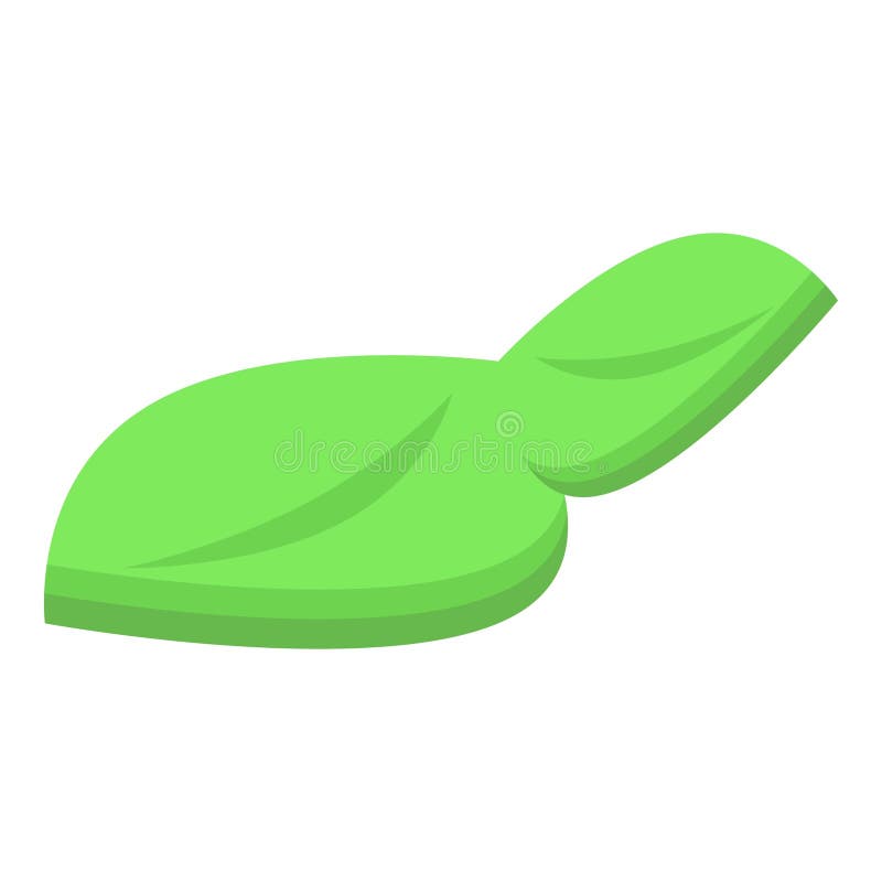 Single Green Basil Leaf is Lying on a White Background Stock Image ...