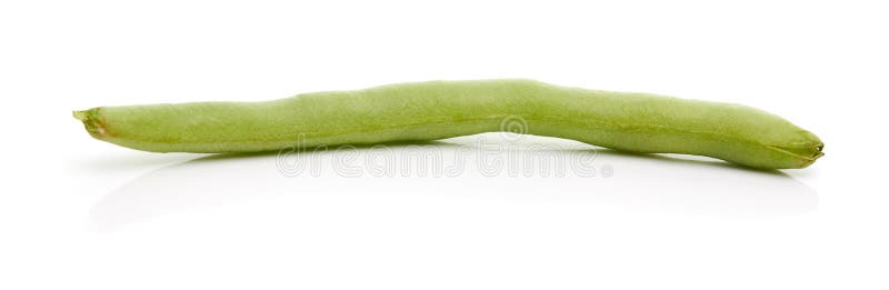 Single Green Bean