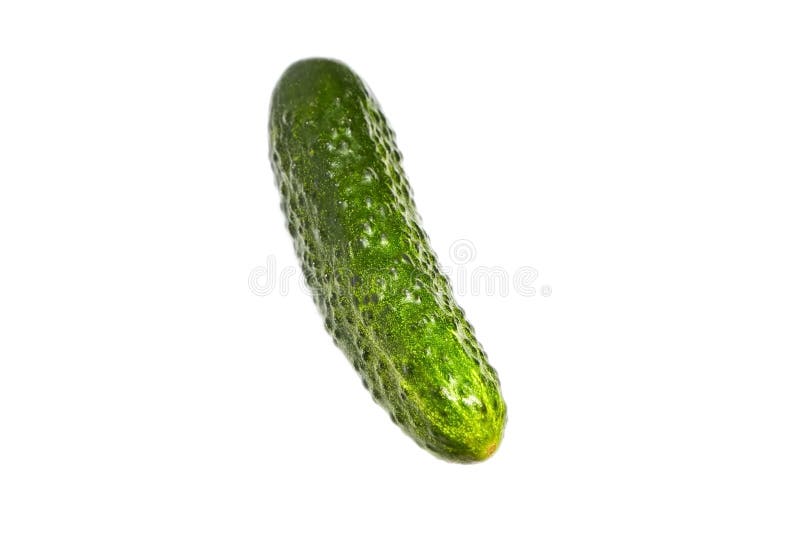 One Green Fresh Gherkin Isolated Stock Image - Image of green, vegan ...