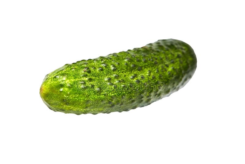 One Green Fresh Gherkin Isolated Stock Image - Image of green, vegan ...
