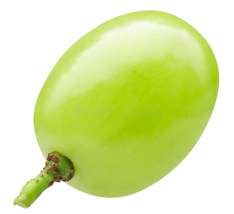 4,117 Single Green Grape Photos - Free & Royalty-Free Stock Photos from ...