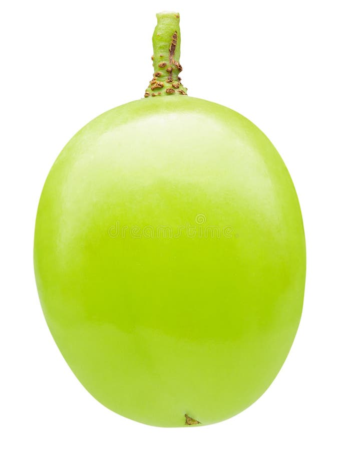 4,117 Single Green Grape Photos - Free & Royalty-Free Stock Photos from ...