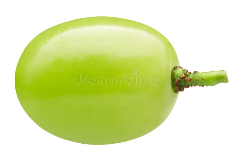 Single Green Grape Isolated on a White Background Stock Image - Image ...