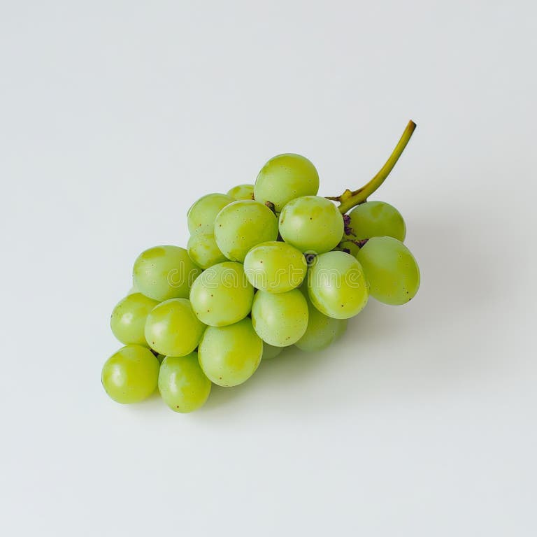 5,599 Single Green Grape Stock Photos - Free & Royalty-Free Stock ...