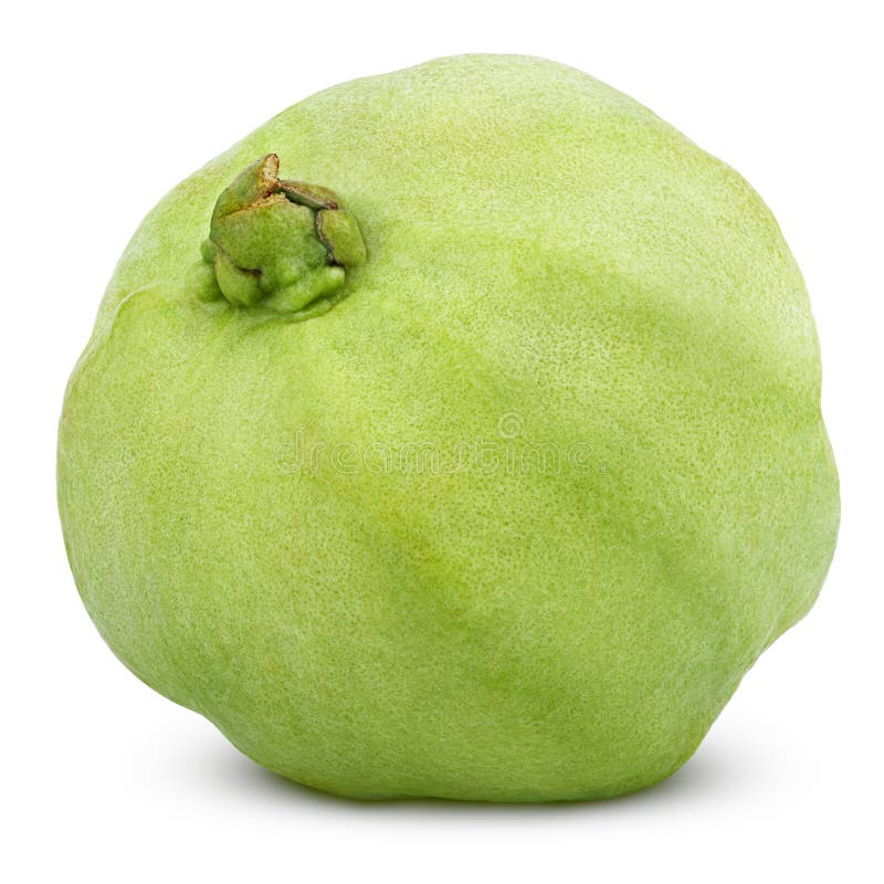 776 Single Guava Photos - Free & Royalty-Free Stock Photos from Dreamstime