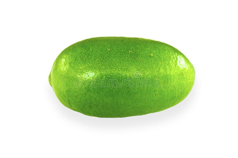 Single Green Lemon stock image. Image of macro, juicy - 91971181