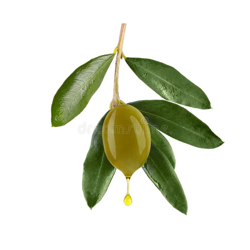 Single Green Olive with Leaves and Oil Drop, Isolated on White ...