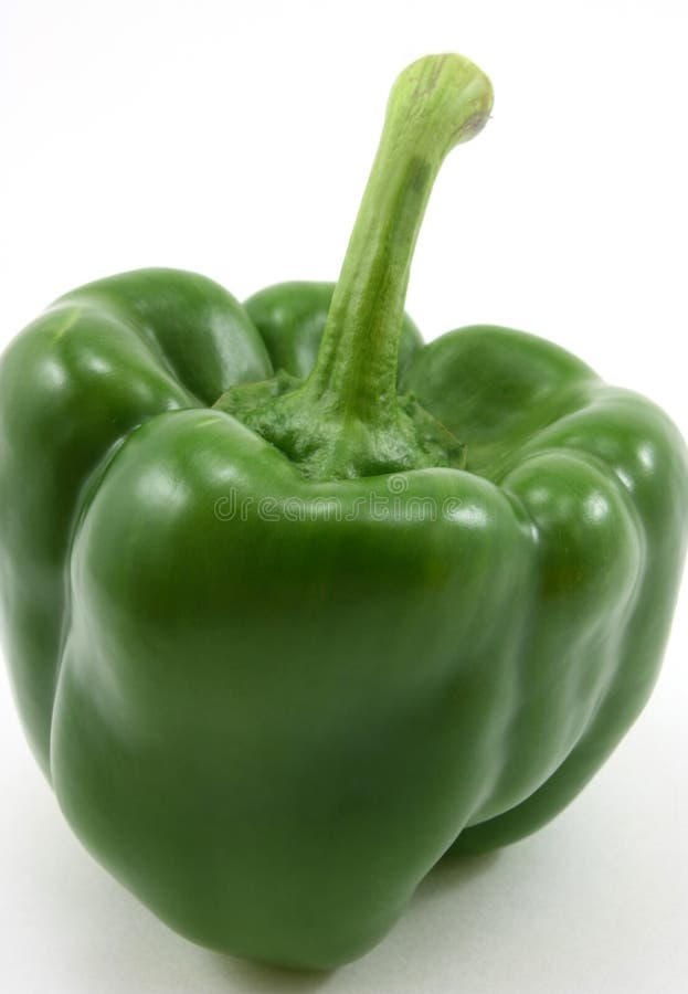 Single Green Organic Pepper Stock Photo - Image of primary, fresh: 12197176