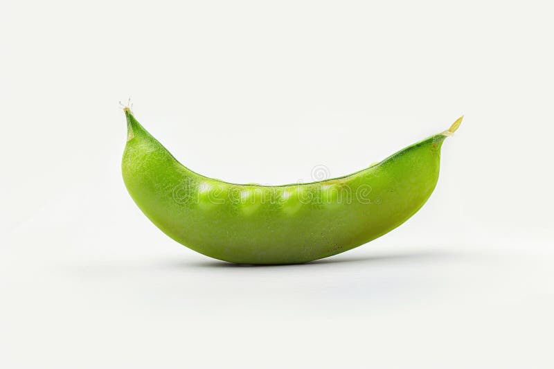 A Single Green Pea Sitting on a Clean White Surface Stock Image - Image ...