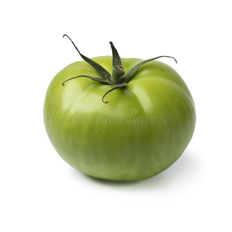 Unripe Tomato Plant stock photo. Image of growth, tomatoes - 1986