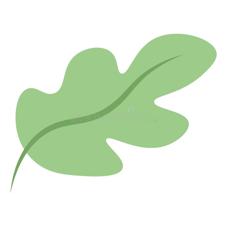 Single Green Wavy Leaf Shape. Vector Stock Vector - Illustration of ...