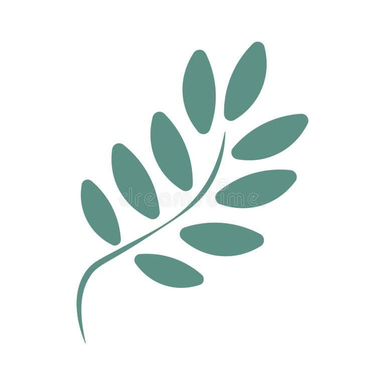 Single Green Wavy Leaf Shape. Vector Stock Vector - Illustration of ...