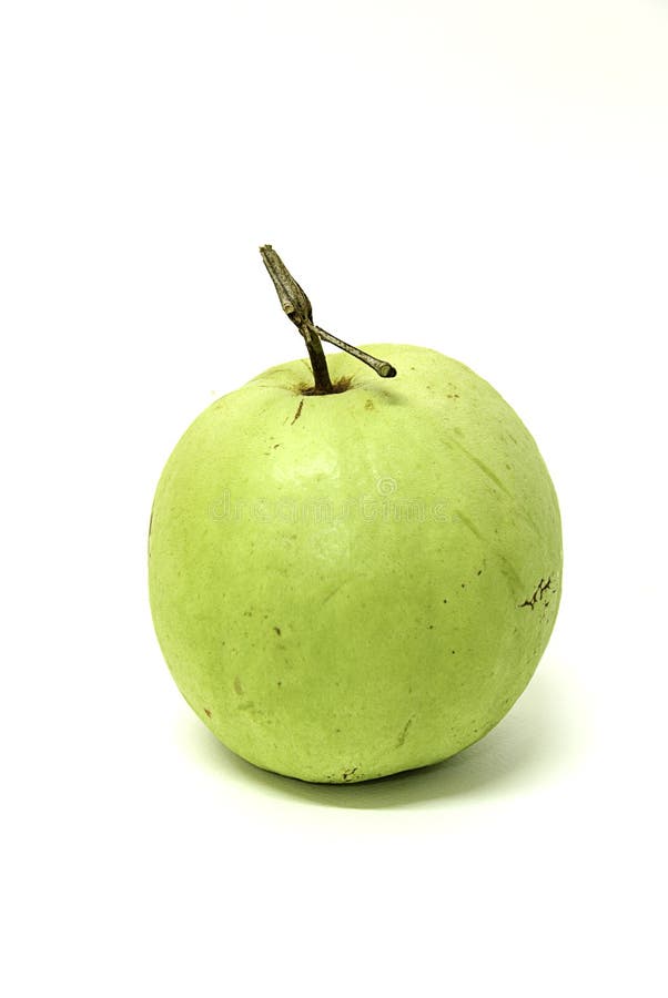 Single Guava on White Background. Stock Photo - Image of delicious ...
