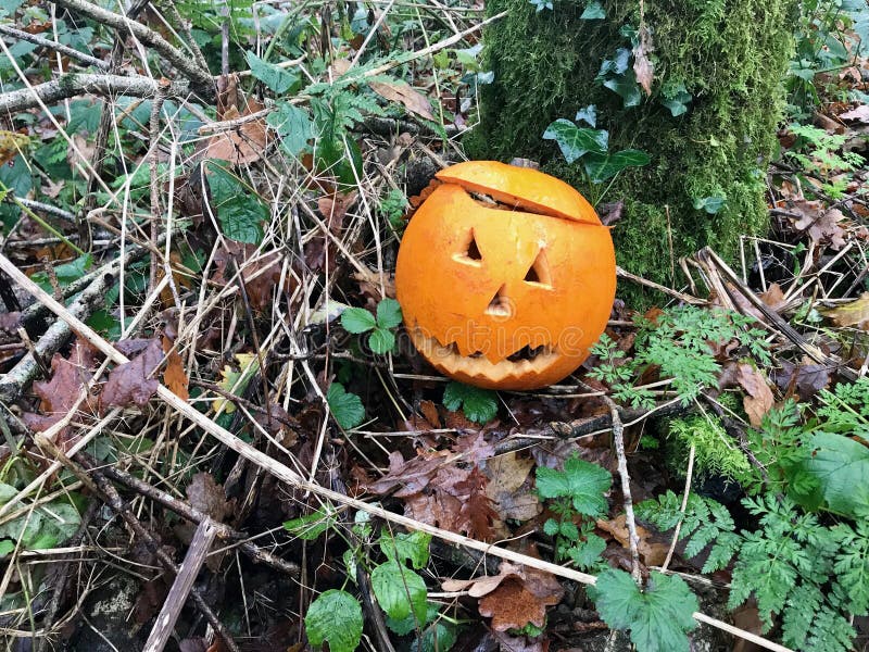 Pumpkin in the forest stock photo. Image of creepy, fall - 180123626