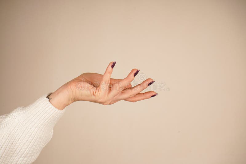 A Single Hand with an Open Palm Faces Upward, Creating a Gesture of ...