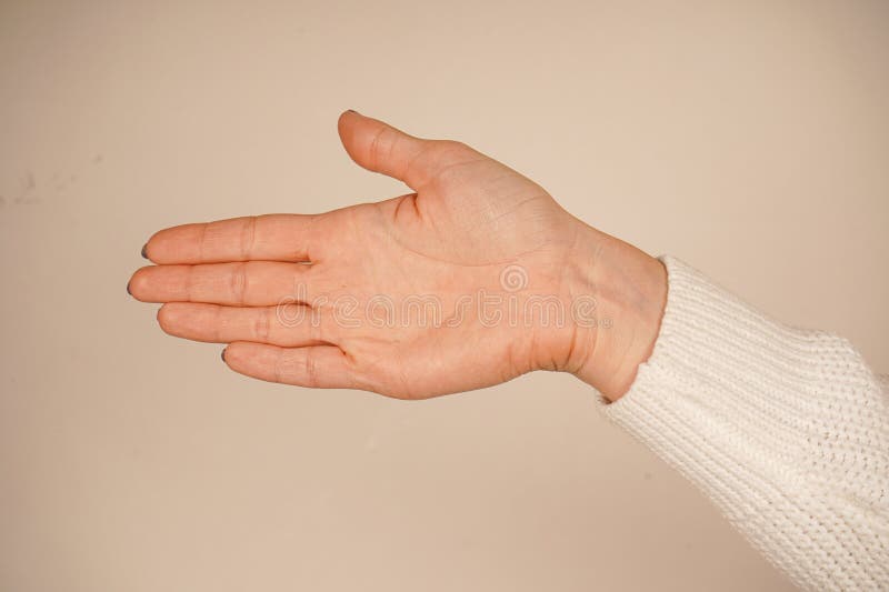 A Single Hand with an Open Palm Faces Upward, Creating a Gesture of ...