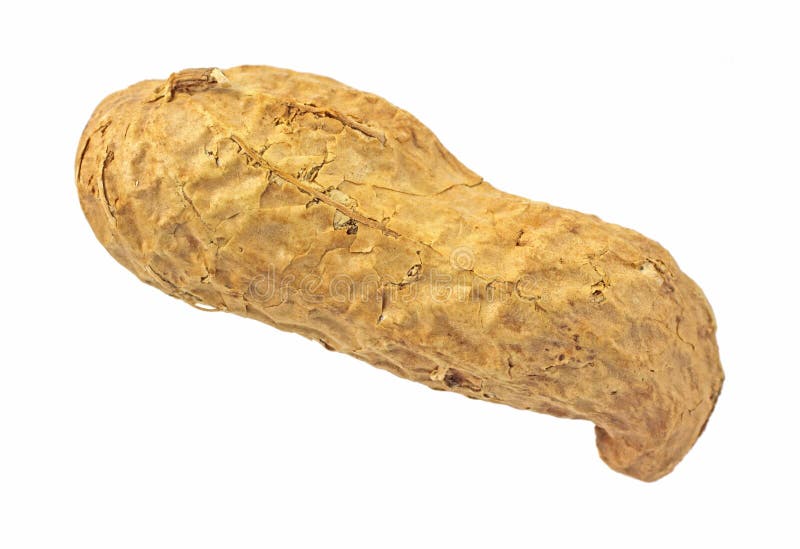 Single Hard Shell Peanut at an Angle Stock Image - Image of medium ...