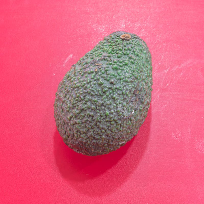 One Whole Hass Avocado with Dark Green Colored Bumpy Skin Over Light ...