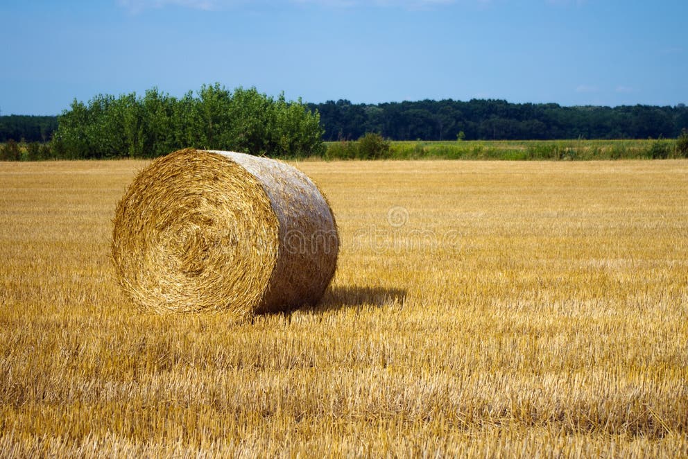 Single hay bale stock photo. Image of grain, outdoor - 32415204