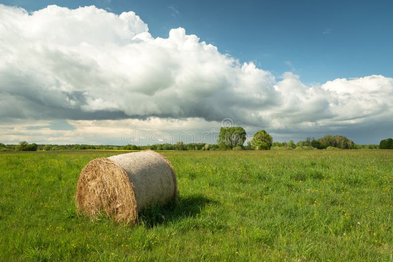 Single Hay Bale Lying on a Green Meadow, White Big Cloud on the Blue ...