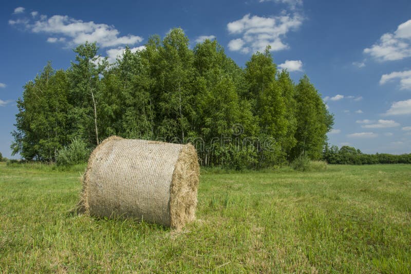 Single Hay Bale Lying on a Meadow, Trees and Blue Sky Stock Photo ...