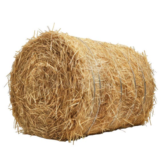 A Single Hay Bale Wrapped with Wire Stock Image - Illustration of ...