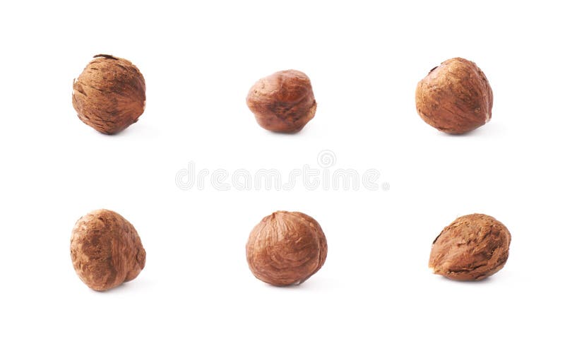 Mulitple Single Hazelnut Stock Photos - Free & Royalty-Free Stock ...