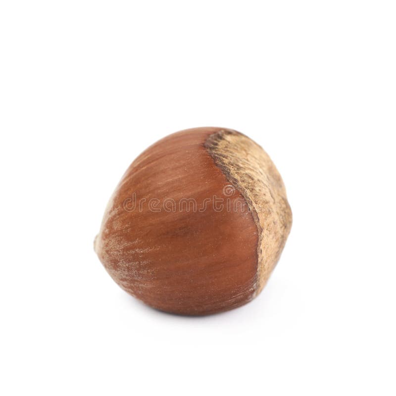 1,338 Single Hazelnut Isolated White Stock Photos - Free & Royalty-Free ...