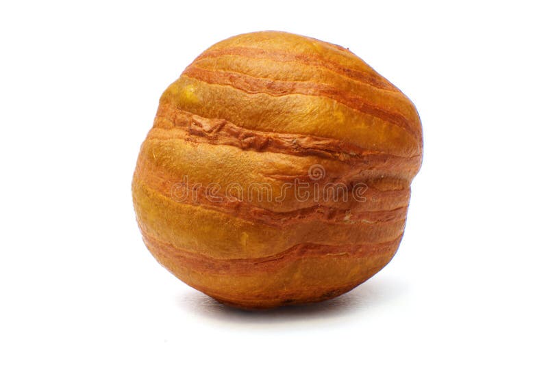 Single hazelnut stock photo. Image of clean, seed, ingredient - 16891434