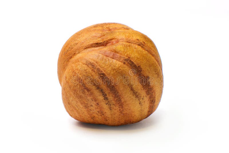 Single Hazelnut Isolated on White Background, Macro Image Stock Image ...