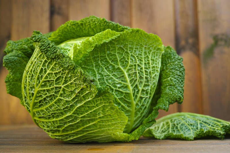 Single Head of Fresh Green Savoy Cabbage Stock Image - Image of healthy ...