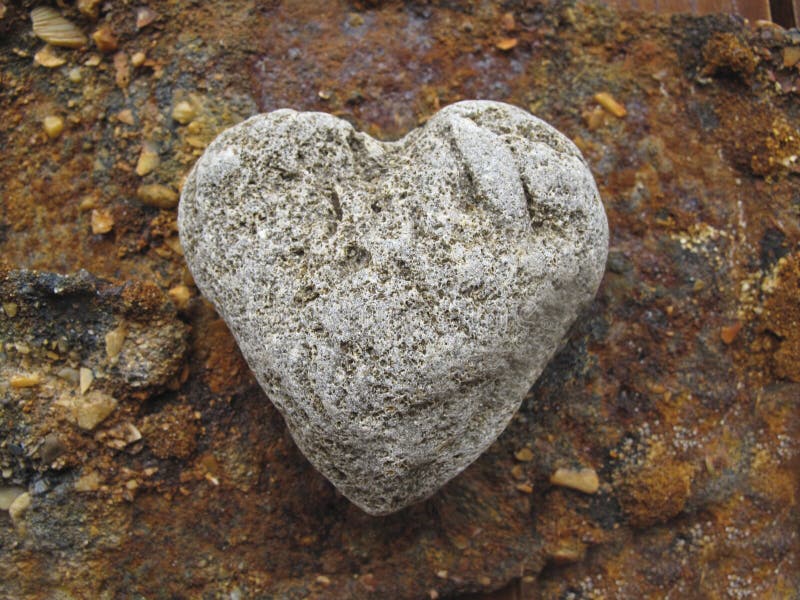 Single Heart Shaped Pebble on Rock Stock Image - Image of solid ...