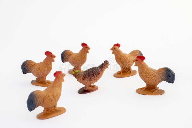 Single Hen Surrounded by a Group of Roosters Miniature Toys Stock Image ...