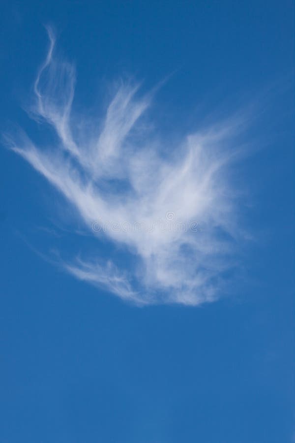 Dove-shaped cloud stock photo. Image of color, curve, doves - 2712766