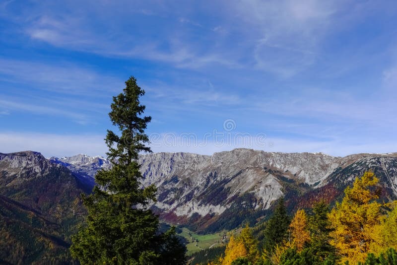 Single High Tree and a Incredible Mountain Landscape with Blue Sky ...