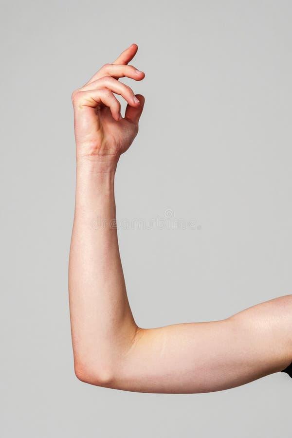 Elevated Bare Human Arm Bent at the Elbow Against a Neutral Background ...