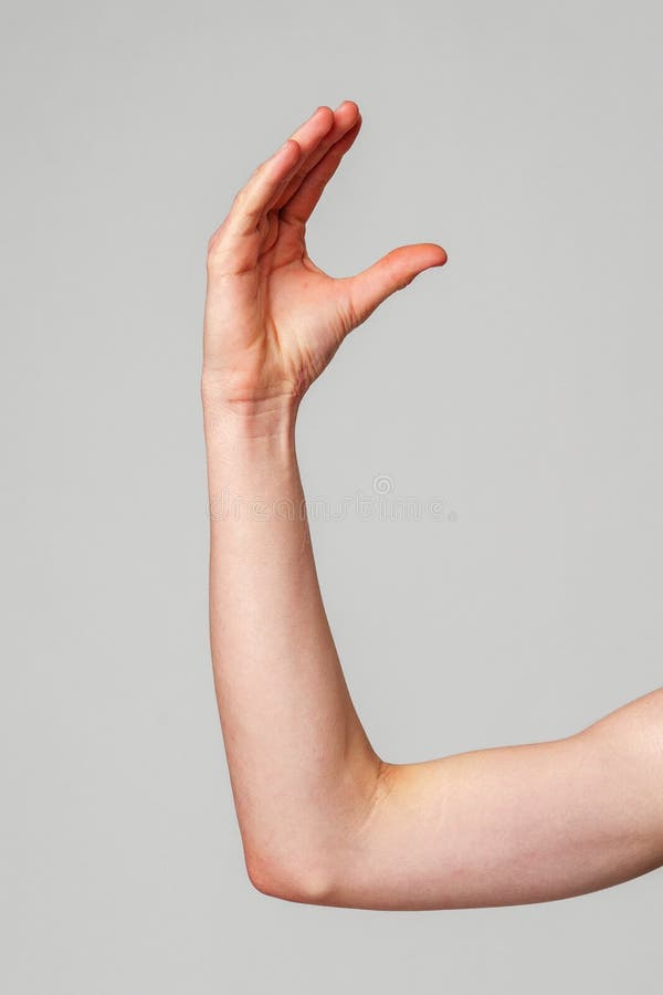 Elevated Bare Human Arm Bent at the Elbow Against a Neutral Background ...